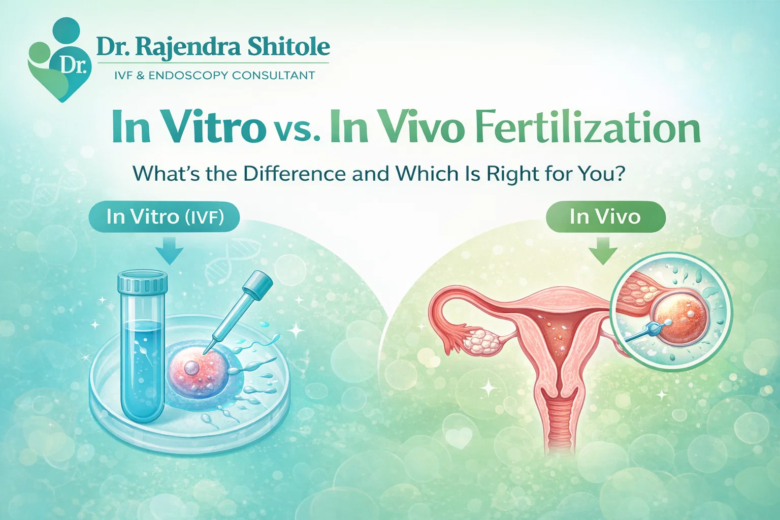 In Vitro vs. In Vivo Fertilization: Whats The Difference